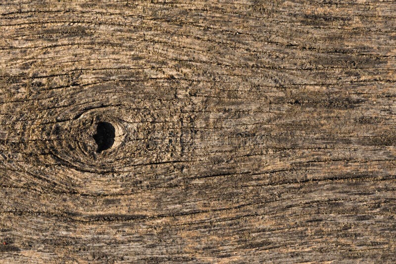 Texture of an Old Tree with a Knot. Background Stock Image - Image of ...