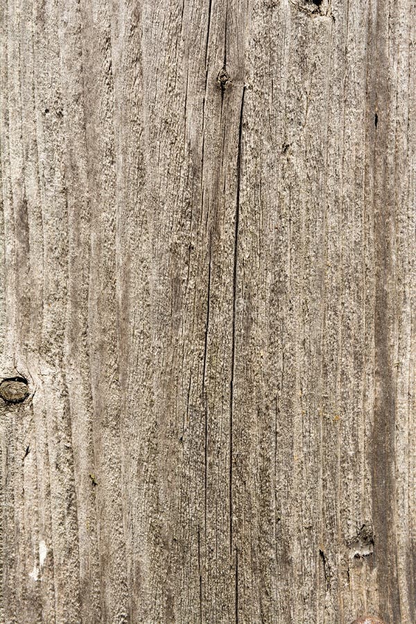 376 Longitudinal Wooden Pattern Wood Texture Stock Photos - Free ...