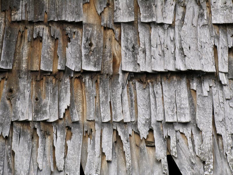 Texture of the Old Wood Chips Stock Photo - Image of texture, fashioned ...