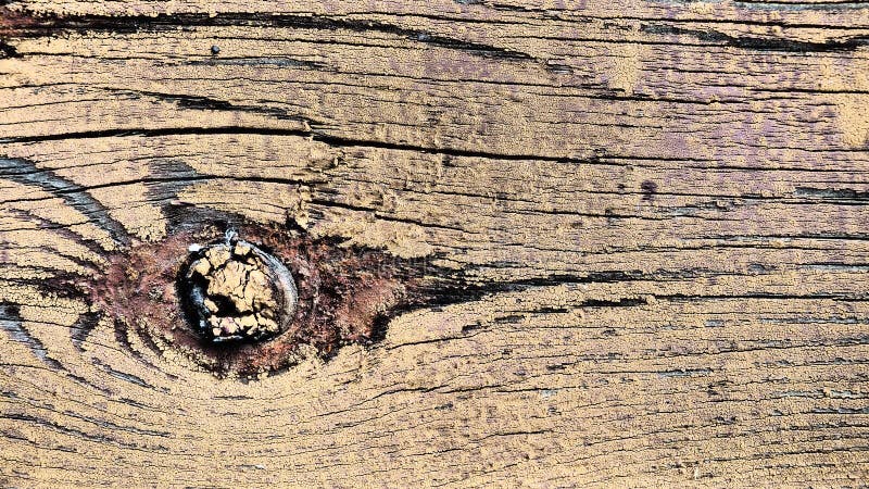 Texture of Old Wood. Stump Close-up Stock Image - Image of wood, timber ...