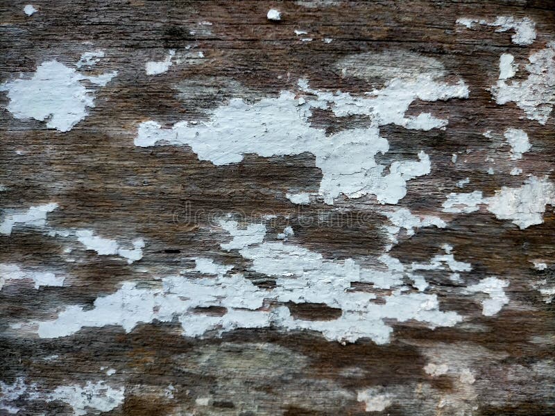 The Texture of Old Wood Take from Top View Stock Photo - Image of wall ...