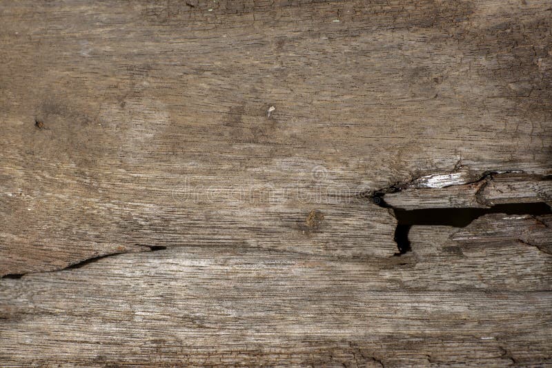 The Texture of Old Wooden, Which is Decaying Stock Photo - Image of ...