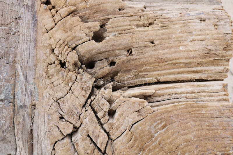 Texture of an Old Wooden Bar. Stock Photo - Image of chopped, pile ...