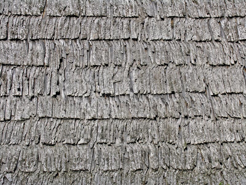 Texture of the Old Wooden Chips Stock Photo - Image of rustic, dirty ...