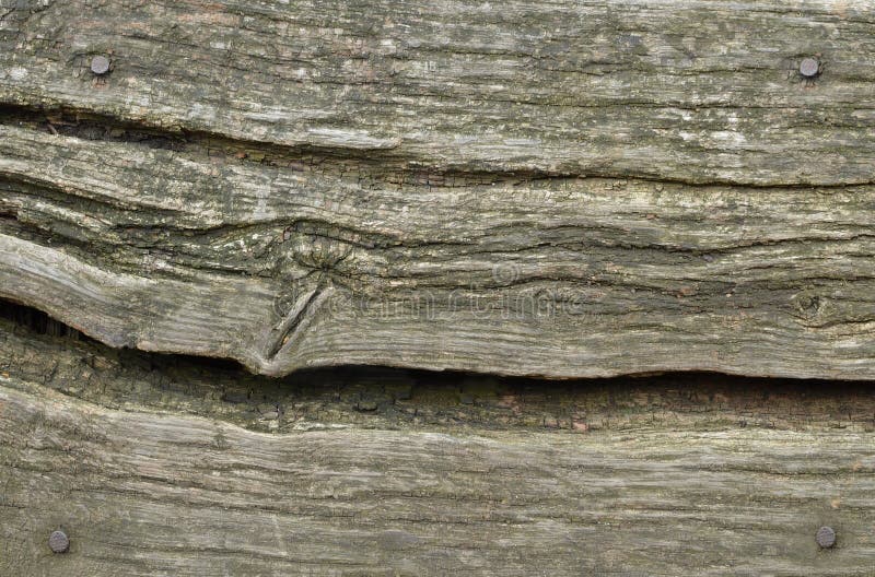 Texture Of Old Wood With Large Deep Crack Stock Photo - Image of ...