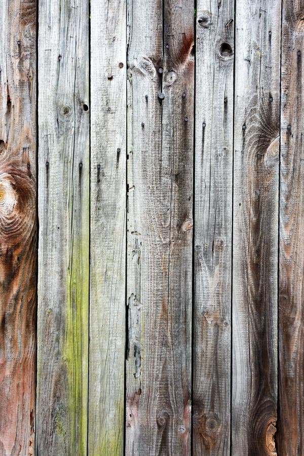 Texture of the Old Wooden Fence Stock Photo - Image of organic, shadow ...
