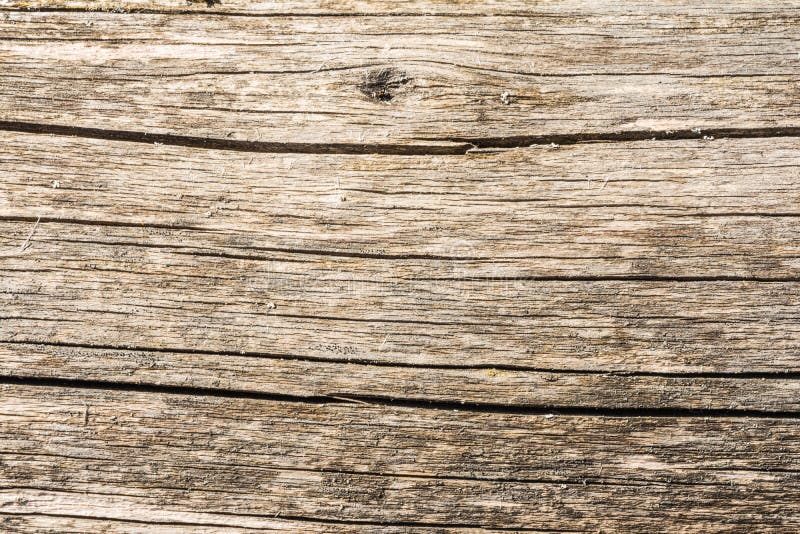 Wooden Logs Texture