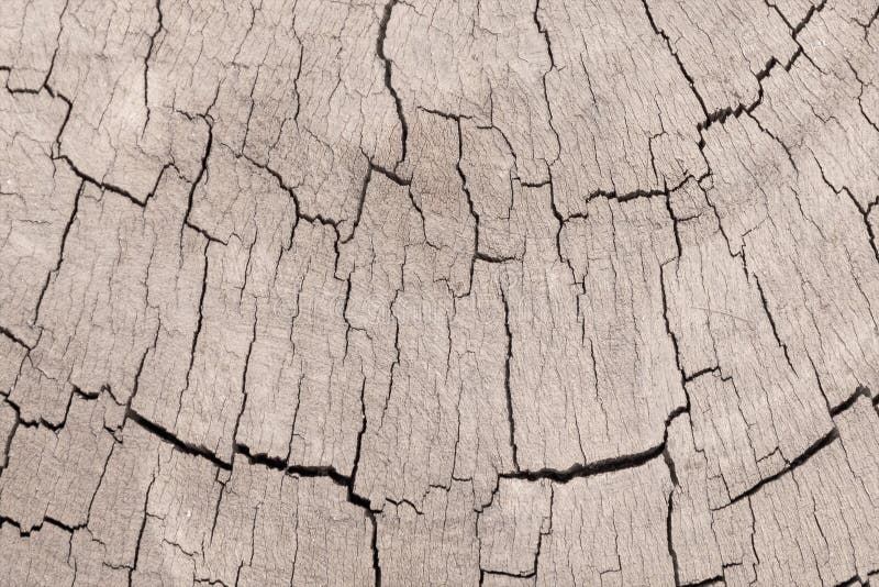 Texture of old wooden log stock image. Image of construction - 67035247