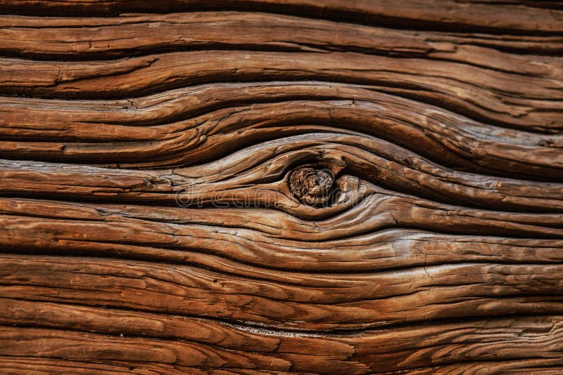 Texture of an Old Wooden Log. Stock Photo - Image of carving, rock ...