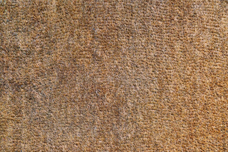 Coarse coir rope texture stock photo. Image of lasso - 13545852
