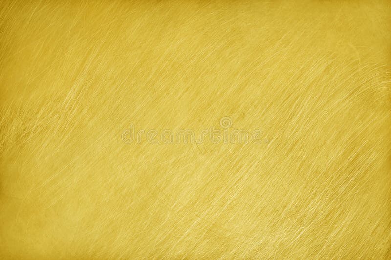 Texture of Old Yellow Golden Aluminum Metal with Scratch for Background ...
