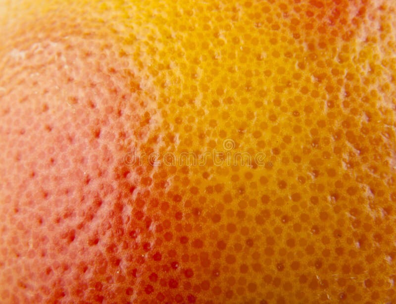 Texture of the orange stock photo. Image of surface - 199650586
