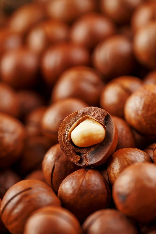 Texture of Organic Macadamia Nut Fresh Natural Fruit Shelled One Nut in ...
