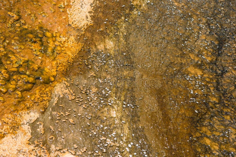 Texture Organic Pattern Background Stock Photo - Image of dark ...