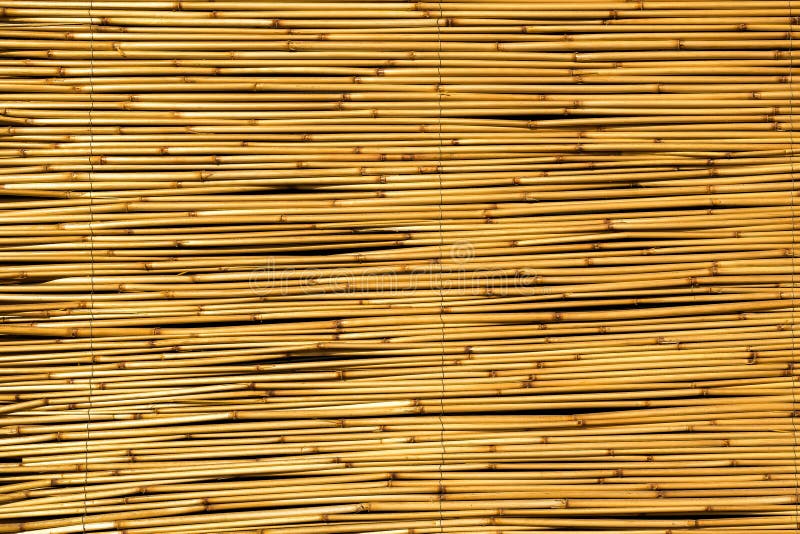 Texture of Oriental Bamboo Curtains. Abstract Background. Stock Photo ...