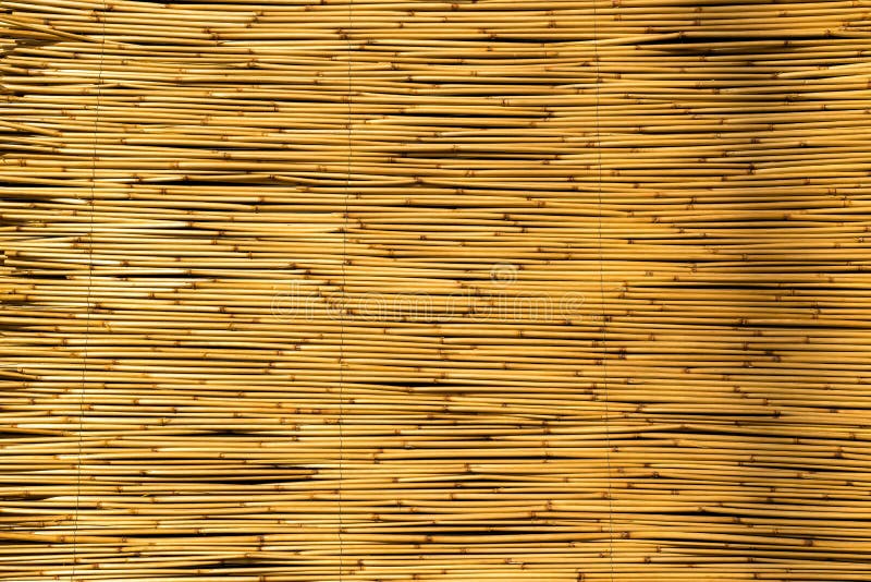 Texture of Oriental Bamboo Curtains. Abstract Background. Stock Photo ...