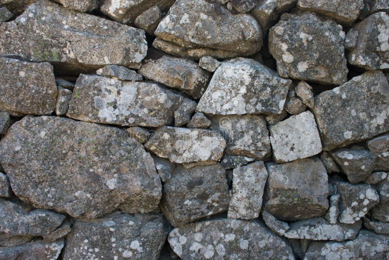 Overlapping Rocks on the Side of a Tree. Stock Photo - Image of jungle ...