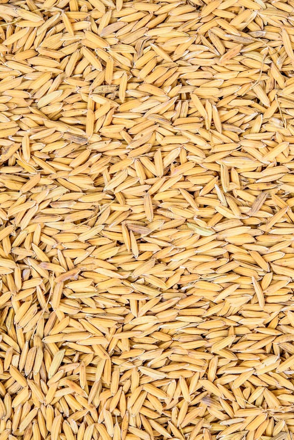 1,415 Rice Husk Texture Stock Photos - Free & Royalty-Free Stock Photos ...