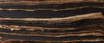The Texture of the Pages of an Old Book, Side View. a Stack of Old ...