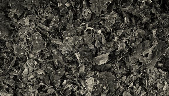 Texture of Paper Ash As Background, Top View. Burnt Paper, Cinder Stock ...