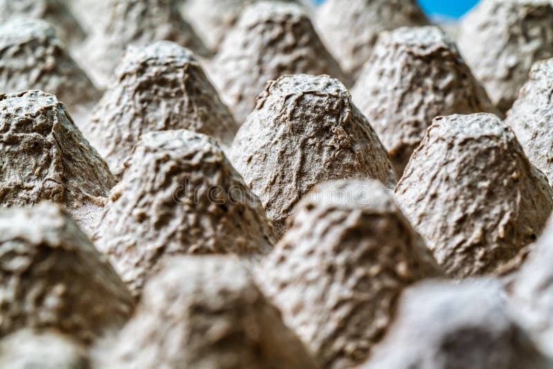 Texture of the Paper Container for Eggs Stock Image - Image of closeup ...