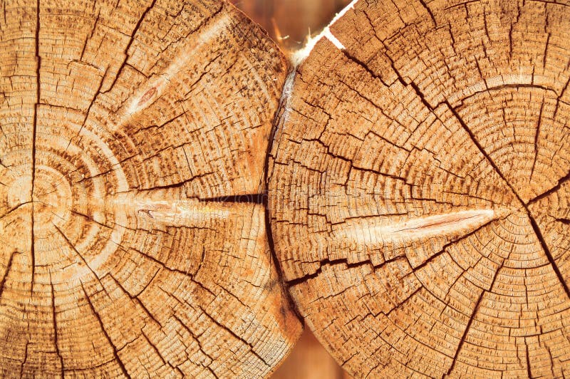 Texture of Sawed Wood and Connection of the Log House. Ancient ...