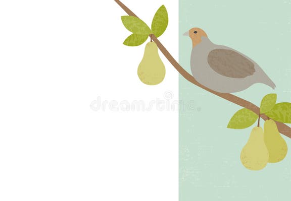 Textured Partridge in a Pear Tree Stock Vector - Illustration of ...