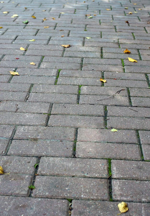 Texture Path of Stone Tiles with Autumn Leaves Stock Photo - Image of ...