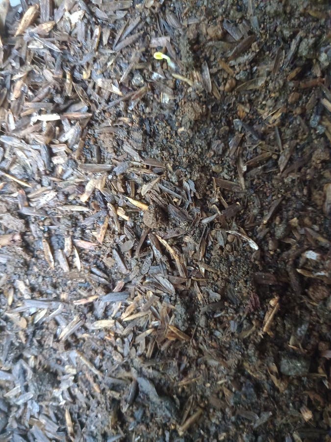 The Texture and Pattern of the Compos with Soil Stock Photo - Image of ...