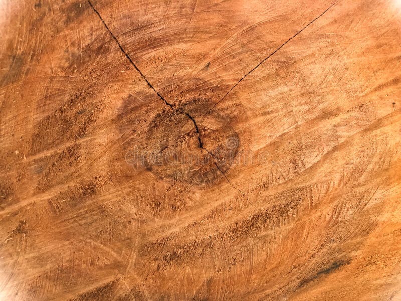 Texture and Pattern of Cut Wooden Tree Trunks. Tree Trunk Background ...