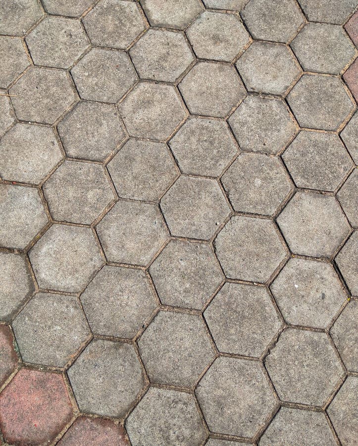 Octagon Shapes In Nature