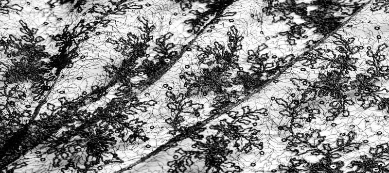 Texture, Pattern, Lace Fabric in Black on a White Background. this ...
