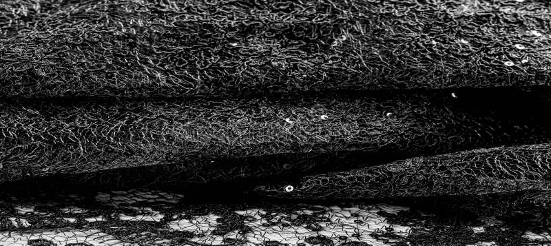 Texture, Pattern, Lace Fabric in Black on a White Background. this ...