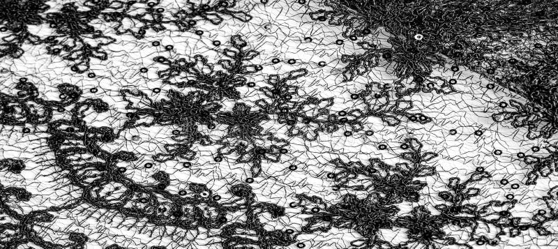 Texture, Pattern, Lace Fabric in Black on a White Background. this ...