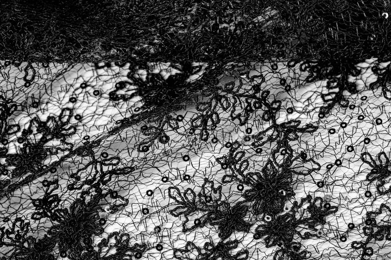 Texture, Pattern, Lace Fabric in Black on a White Background. this ...