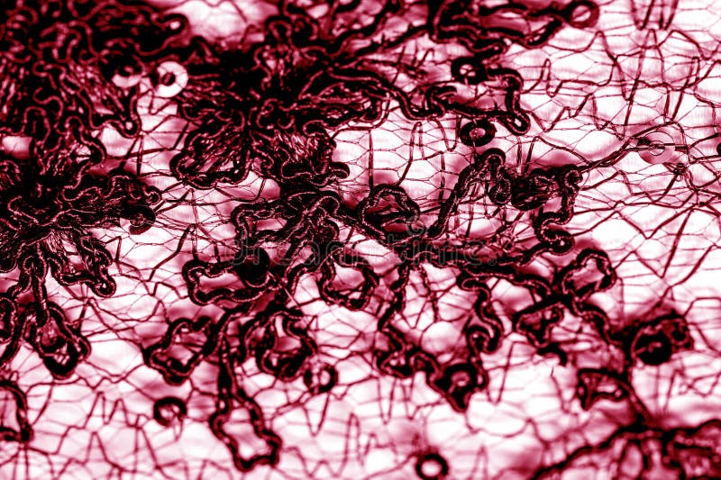 Texture, Pattern, Lace Fabric in Red on a White Background. Delicate ...
