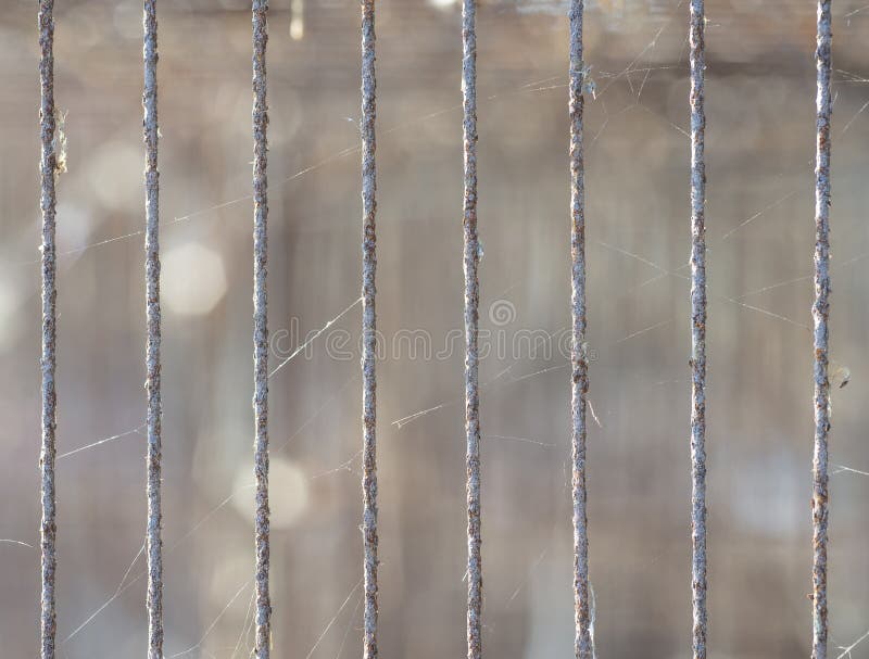 Mesh Wreath Stock Photos - Free & Royalty-Free Stock Photos from Dreamstime