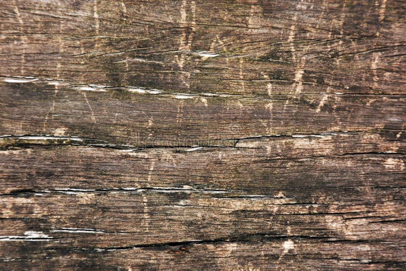 1,184 Black Rotten Wooden Texture Background Stock Photos - Free ...