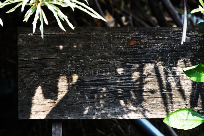 1,184 Black Rotten Wooden Texture Background Stock Photos - Free ...