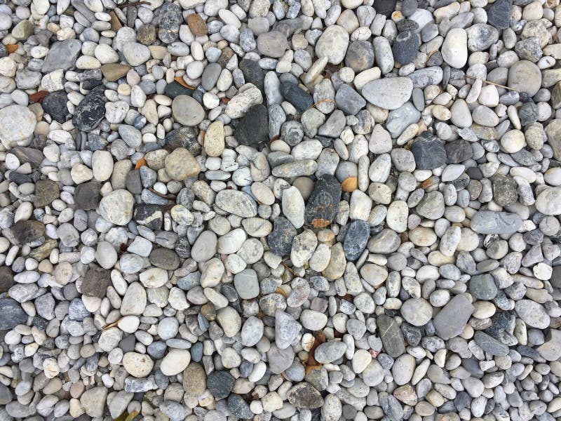 Texture Pattern of Pebbles Gravel and Small Stones in Walk Way Path ...