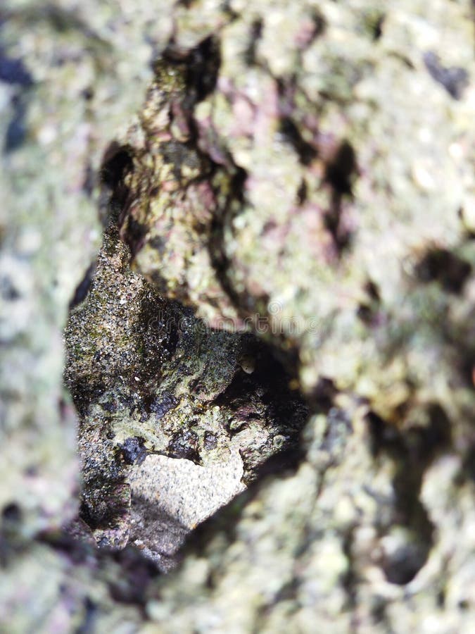 Texture and Pattern of a Stone Object on the Beach Stock Photo - Image ...