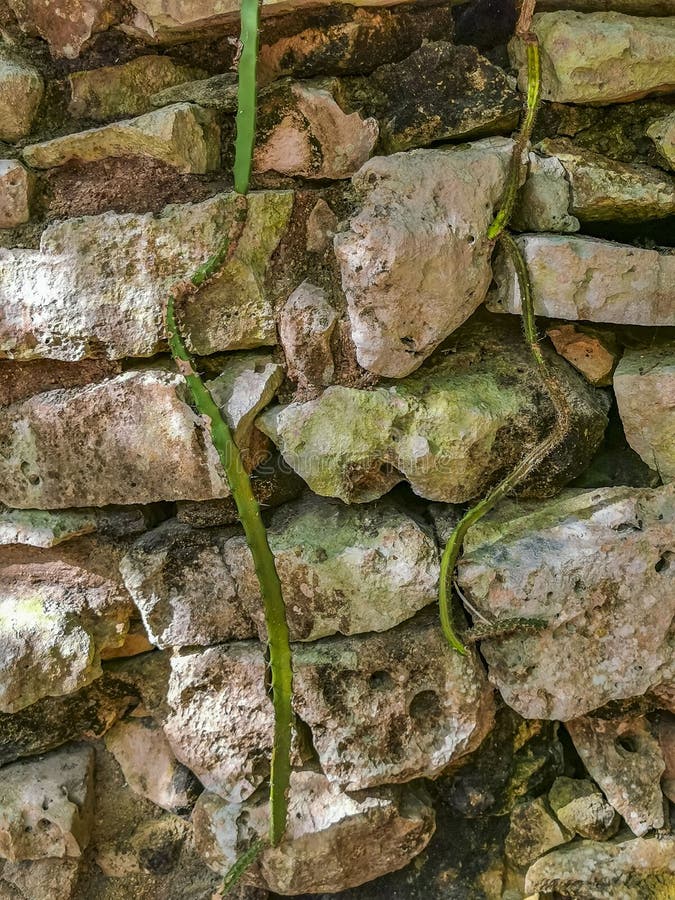 Texture Pattern of Tulum Ruins Mayan Site Temple Pyramids Mexico Stock ...