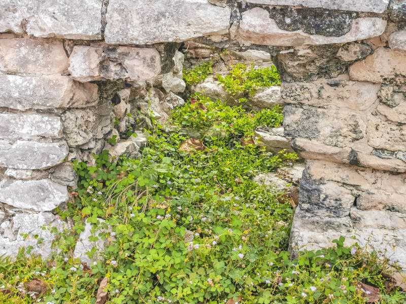 Texture Pattern of Tulum Ruins Mayan Site Temple Pyramids Mexico Stock ...
