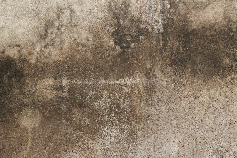 Paras Bali Stock Photos - Free & Royalty-Free Stock Photos from Dreamstime