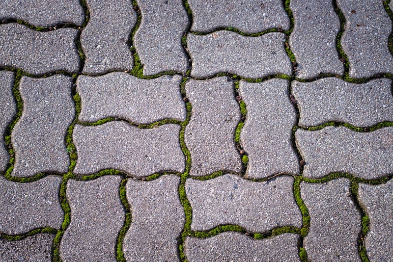 The Texture of the Paved Tile on the Bottom of the Street. Cement Brick ...