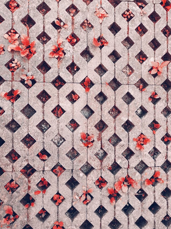 Paving block texture stock image. Image of design, grass - 331447761