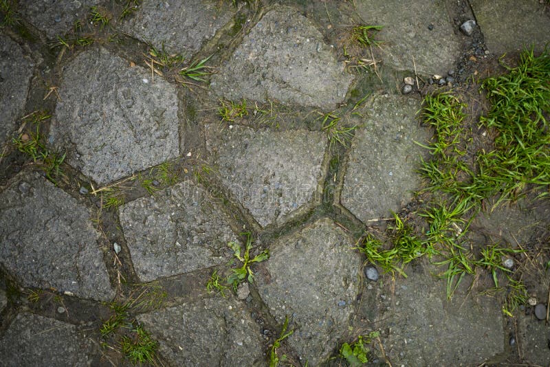 Texture of Paving Slabs Overgrown with Grass Stock Image - Image of ...