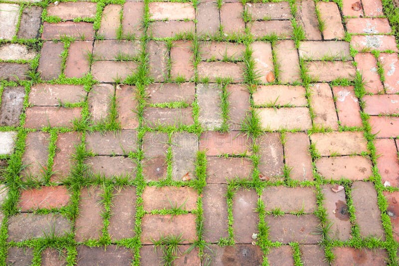 Texture of a Paving Stone Track on a Green Grass Stock Image - Image of ...