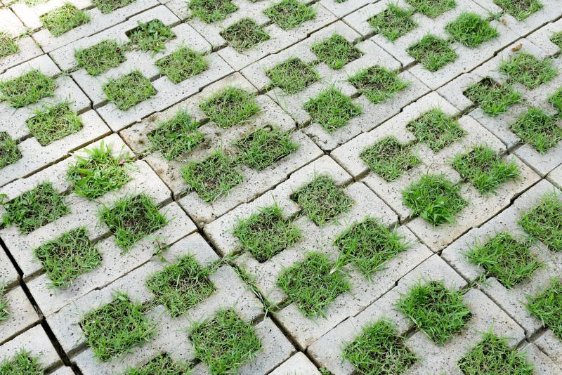 283 Pebble Flooring Grass Texture Stock Photos - Free & Royalty-Free ...