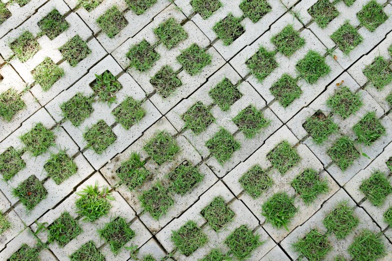 Texture of a Paving Stone Track on a Green Grass Stock Image - Image of ...